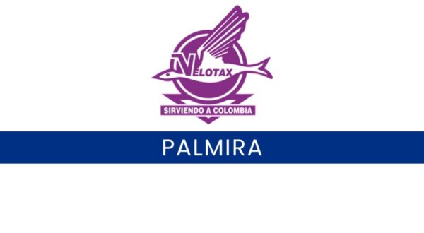 Velotax Ibagué - Terminales de Transporte